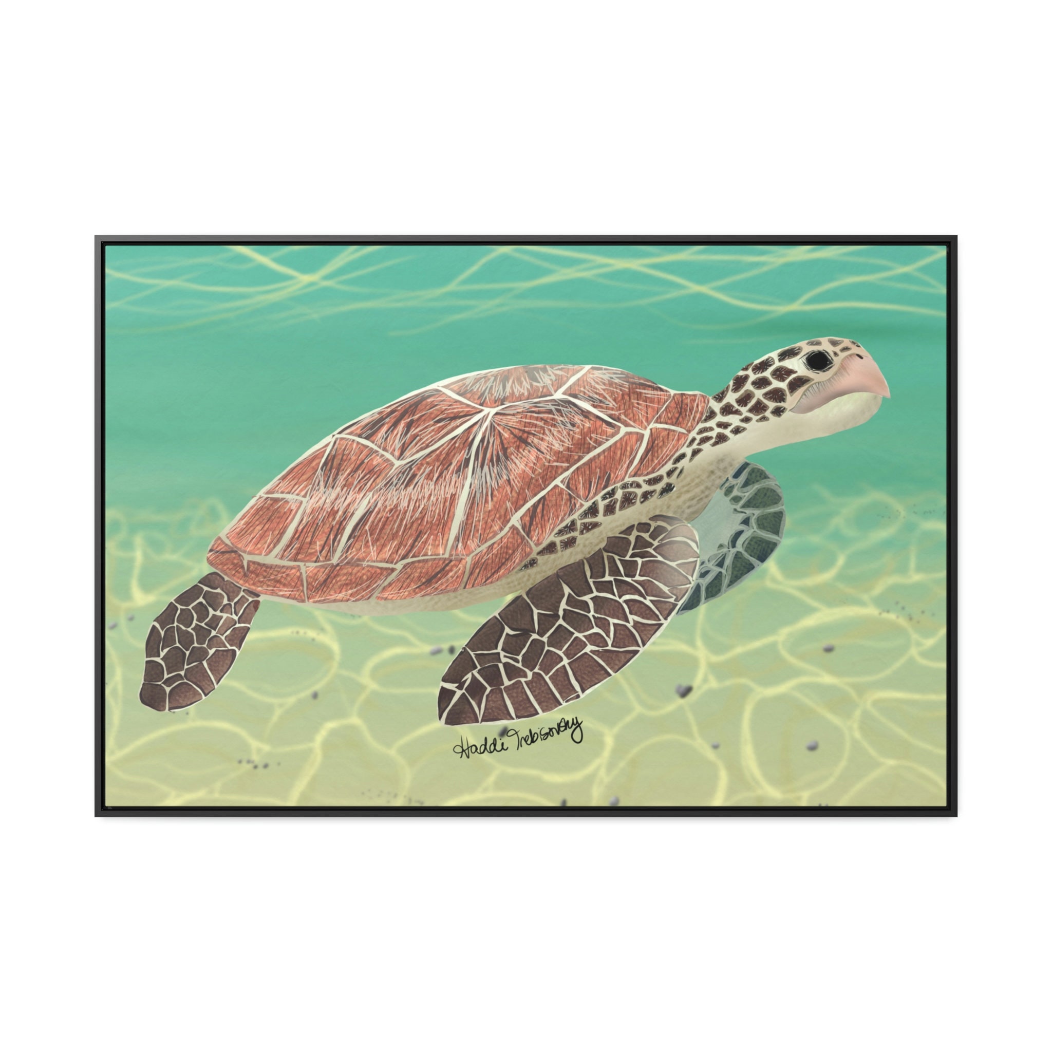 Sea Turtle Gallery Canvas Wraps - Etsy