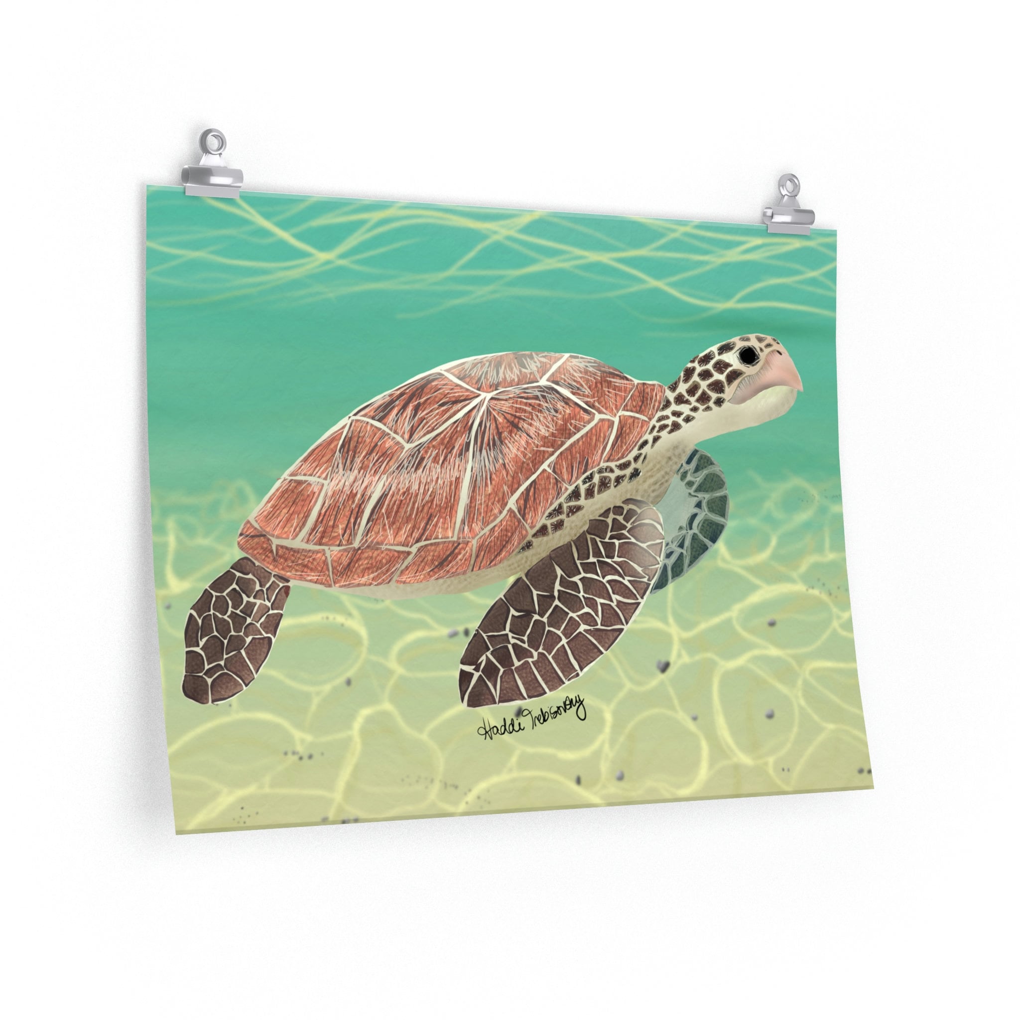 Sea Turtle Premium Matte Poster - Etsy