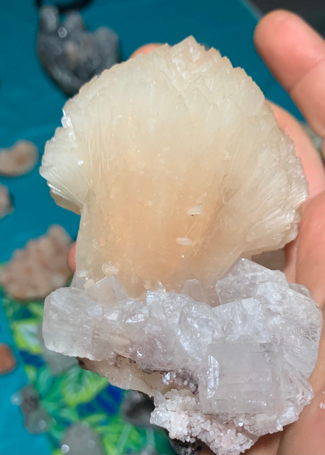 Peach Stilbite Heart on Apophyllite - Etsy