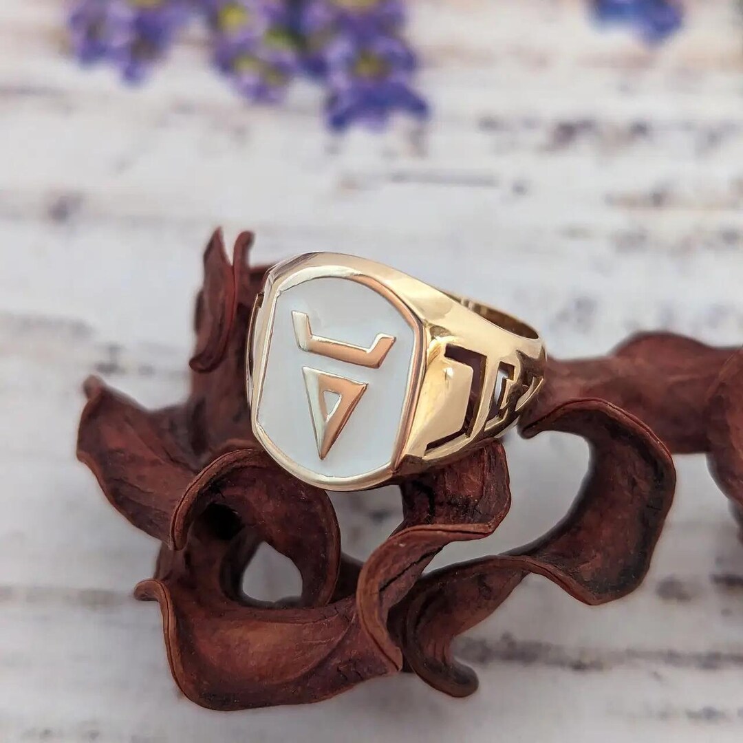 Veles Slavic Symbol Enamel Bronze Men’s Ring - Sterling Silver 925 Gold ...
