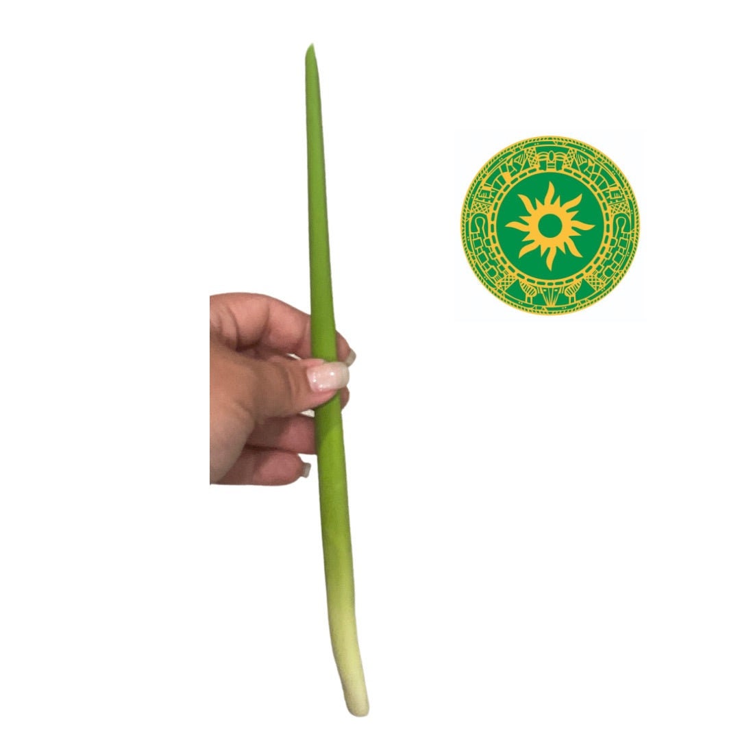 Creole Peregun - Etsy