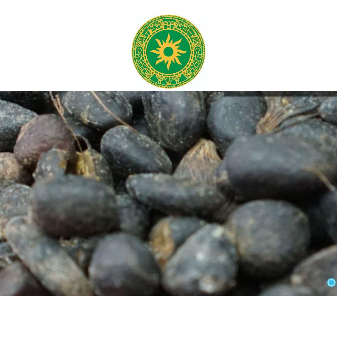 OBI EDUN ACHE of Saints - Etsy