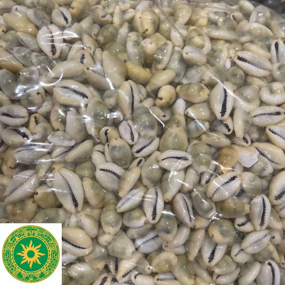 Closed Snail Packages - Etsy