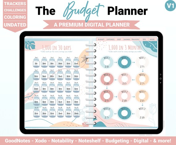 Digital Budget Planner Budget Planner Digital Finance - Etsy