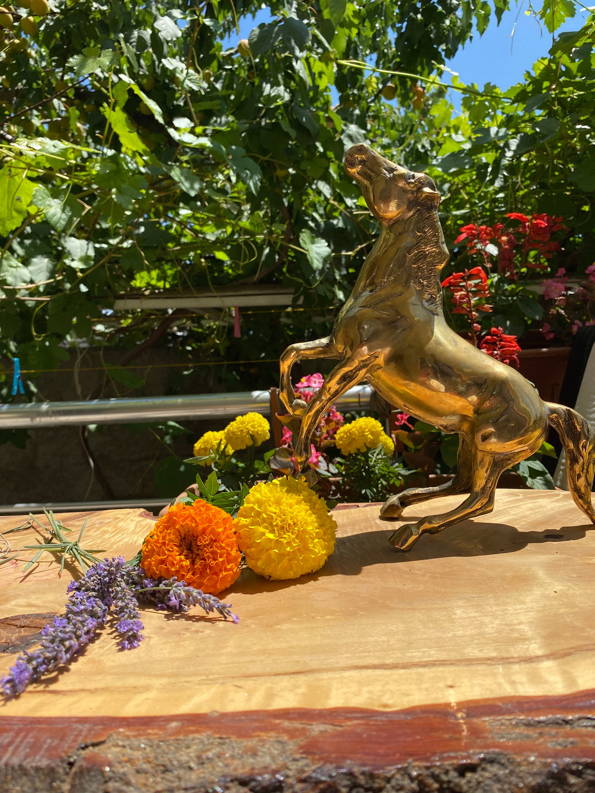 Cheyenne Frontier Day Horse Copper Horse Sculpture Brass - Etsy