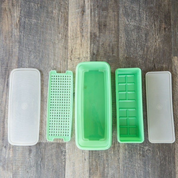 Céleri tupperware - Etsy Canada