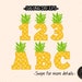 Pineapple Number Letter Font Alphabet SVG Cricut Cut File Clipart - Etsy