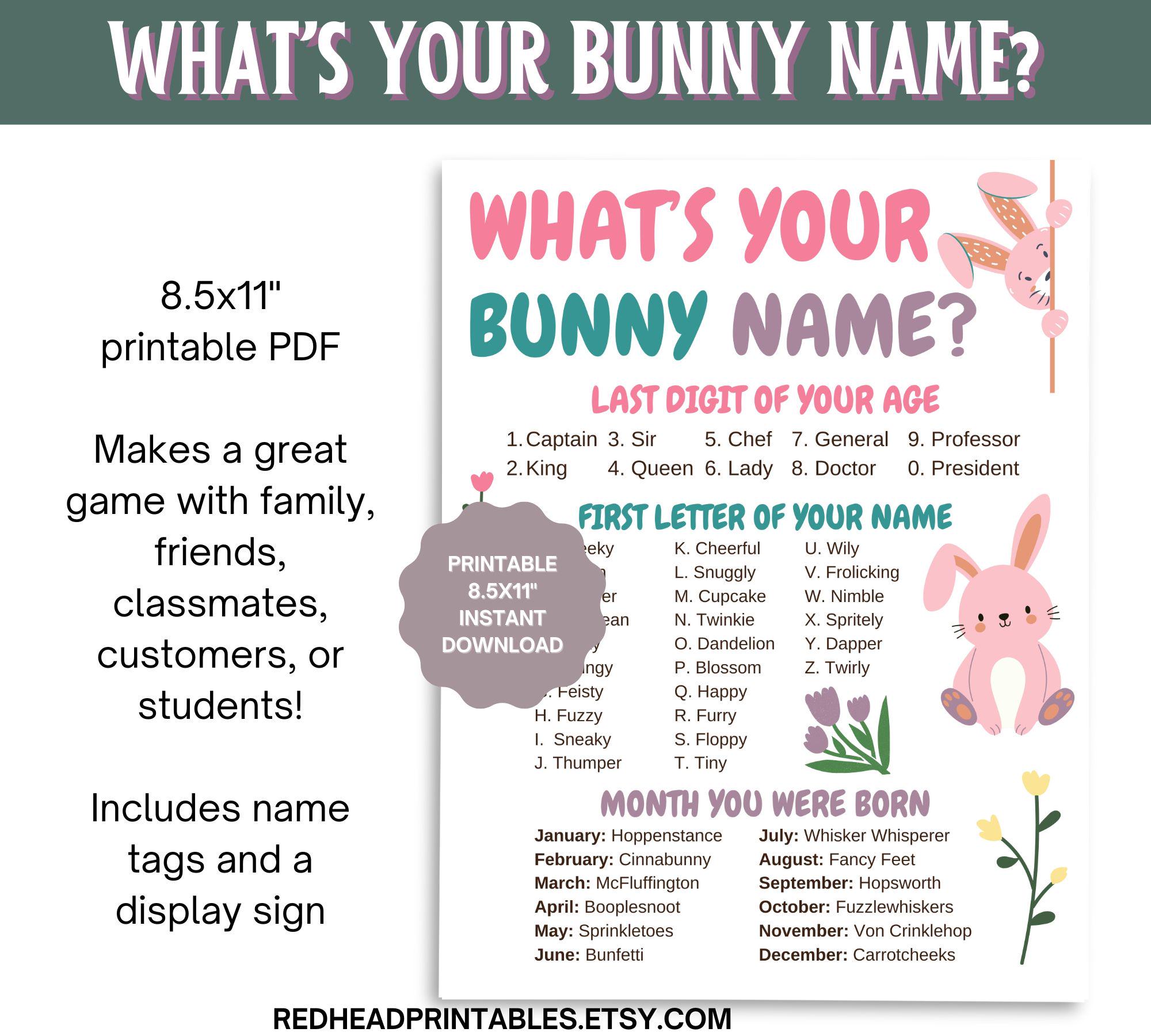 Whats Your Bunny Name Game Printable, Easter Game for Family, Kids ...