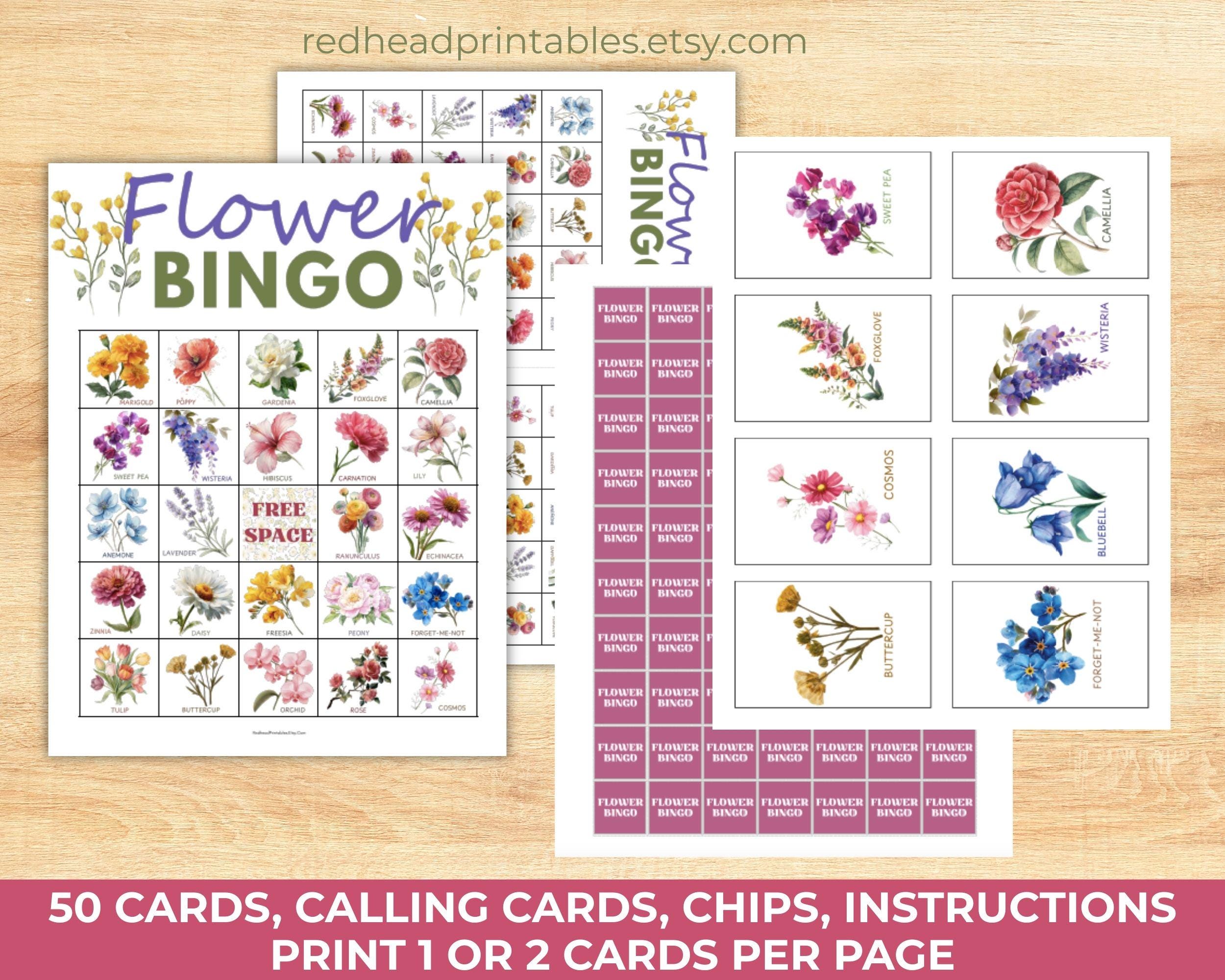 Flower Bingo Game Printable, Flower Identification Game, Spring Bingo ...