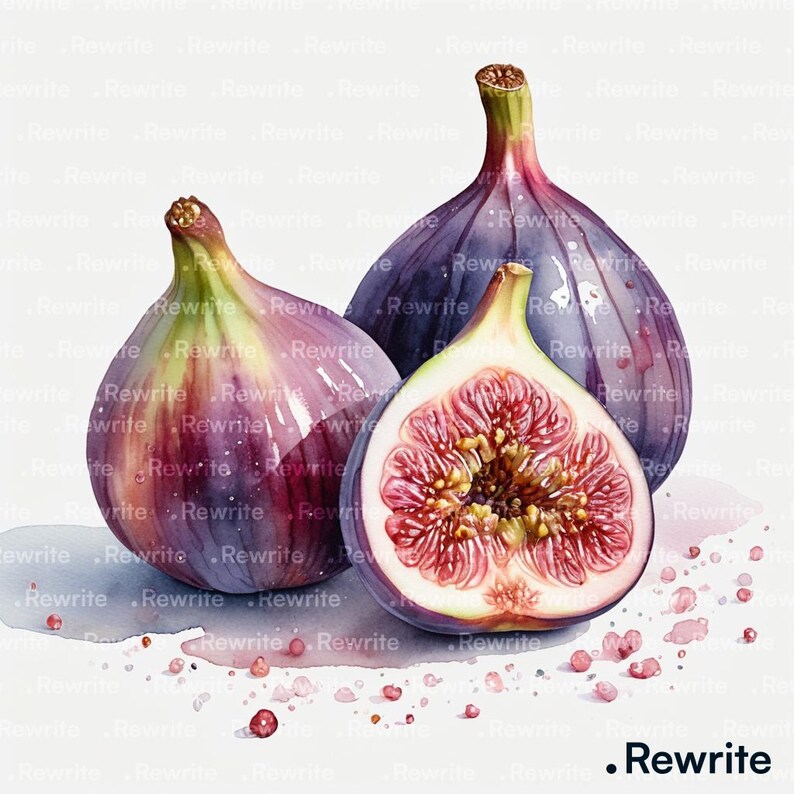 10 Fig Clipart | Printable Watercolor Fruit Clipart | High Quality JPG ...