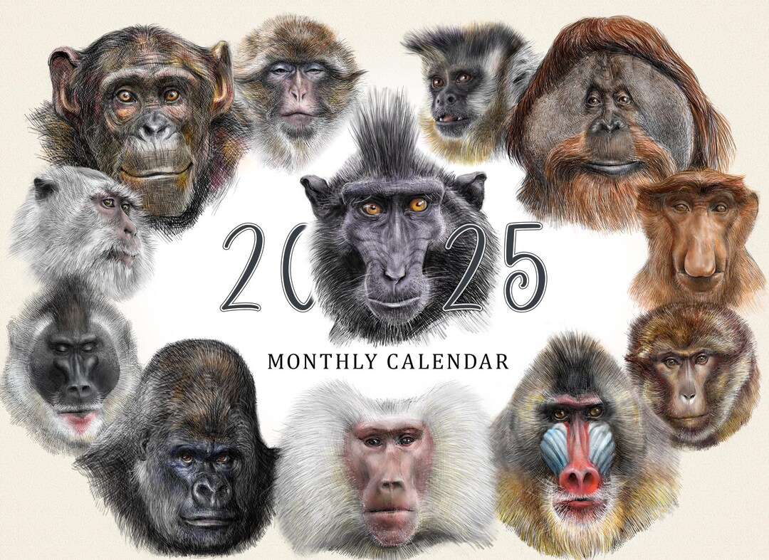 Printable Monkey Monthly Calendar 2025, Monday and Sunday Start, A4 ...