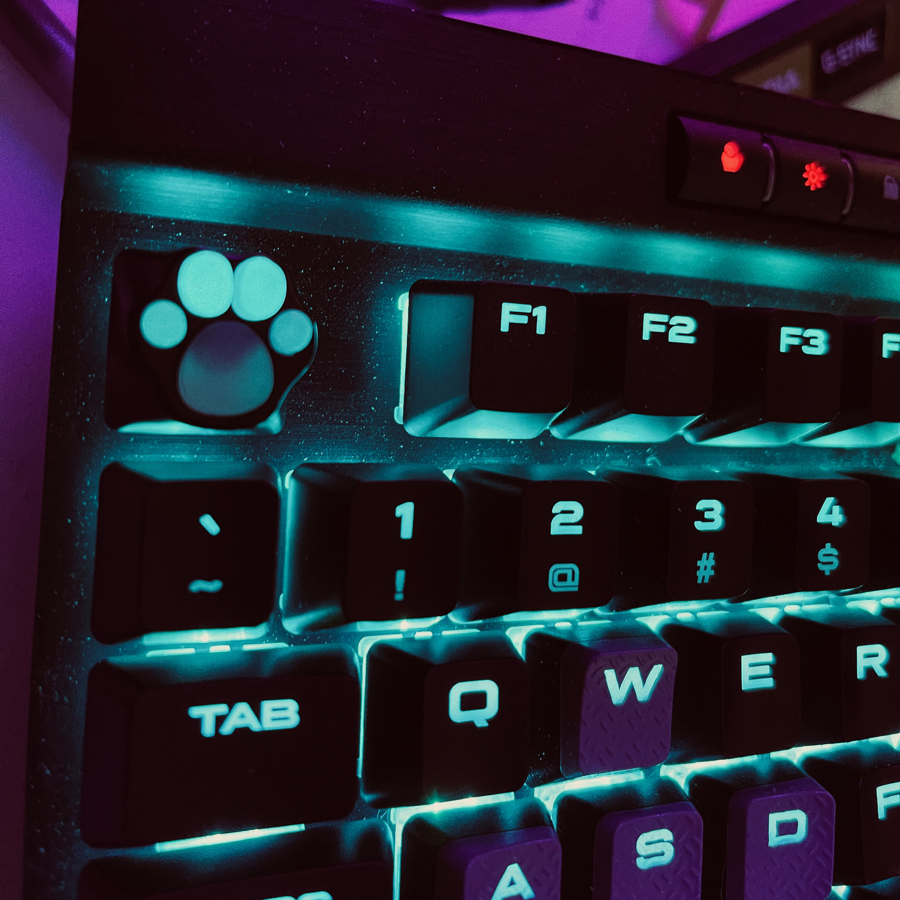 Soft Kitty Paw Key Cap - Etsy