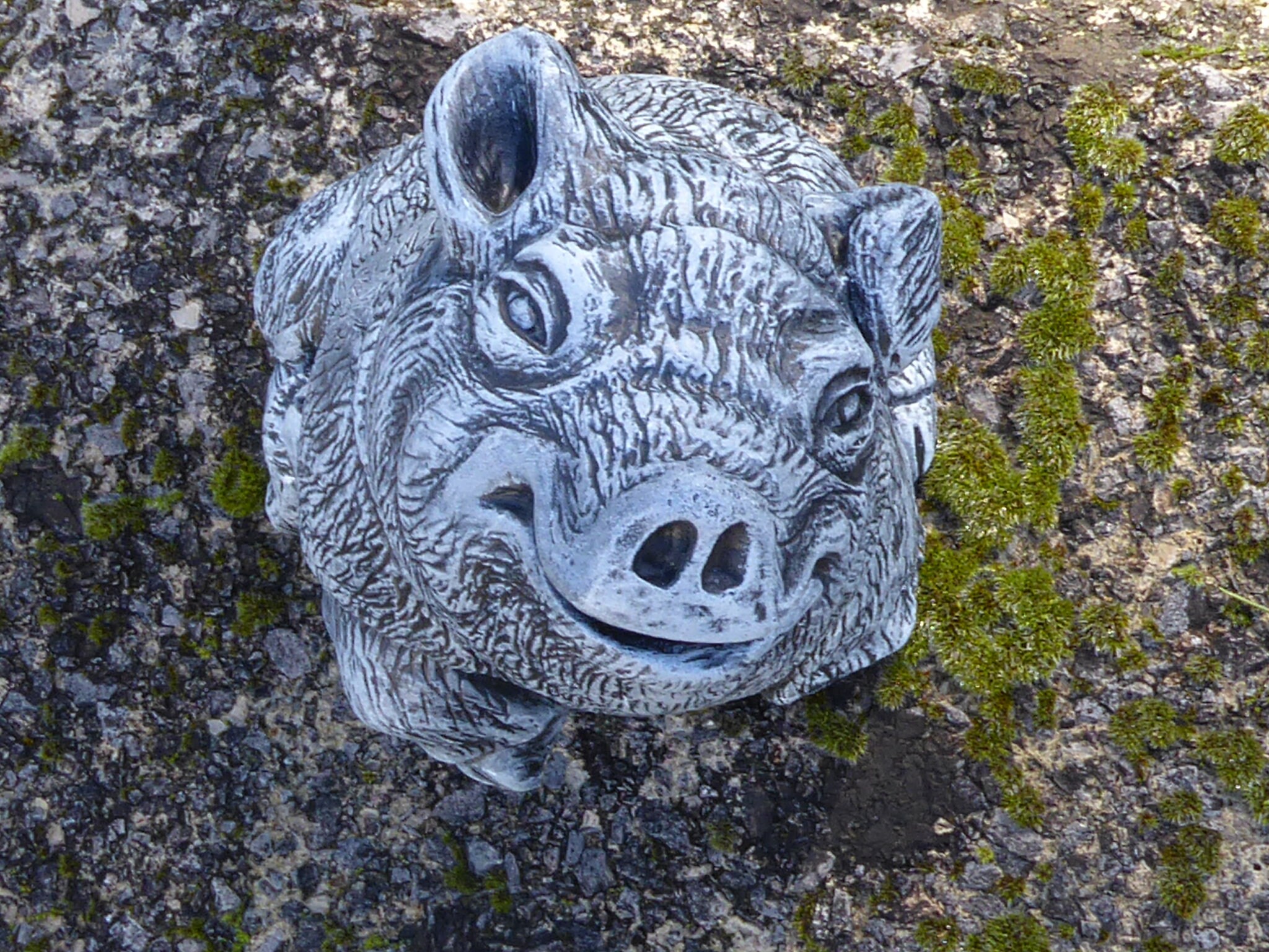 Cute Cast Stone Pig Looking up Garden Ornament Garden Statue - Etsy