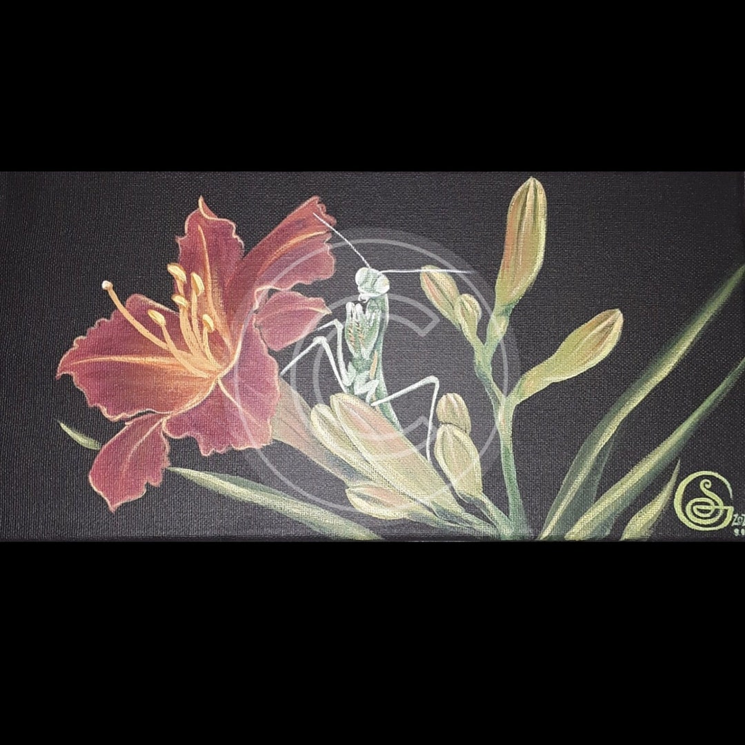 Mantis Meditation. Limited Edition Art Print, Wildlife Artwork, Desert ...