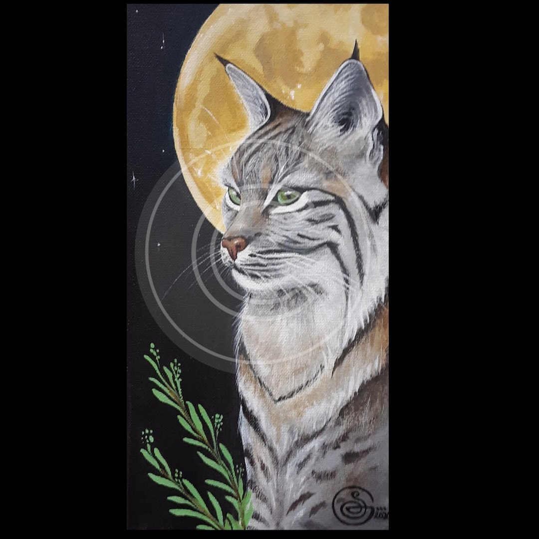 Bobcat Moon. Limited Edition Art Print, Wildlife Artwork, Desert ...