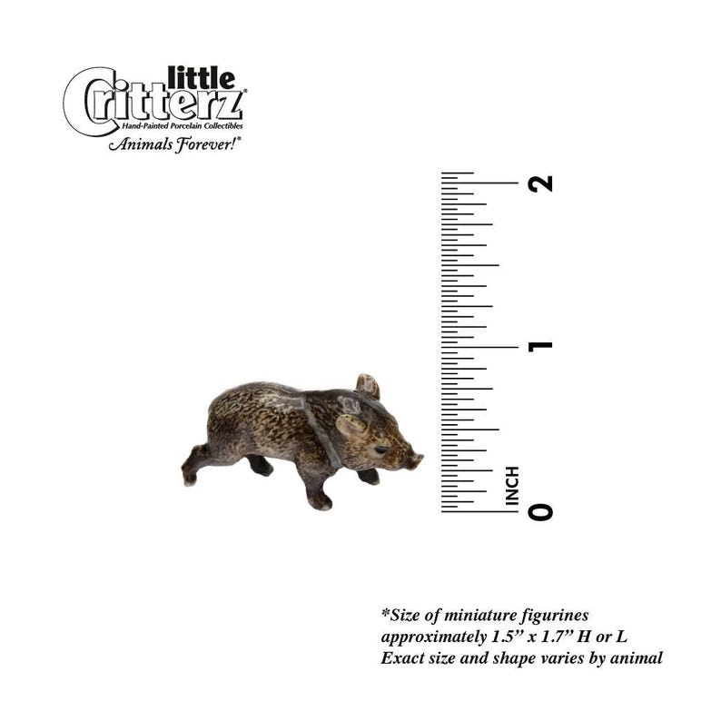 Little Critterz Pig Javelina "jabali" Animal - Hand-painted Forest ...