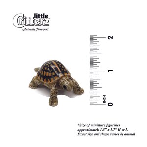 Little Critterz Box Turtle Figurine Dom - Collection Home Décor ...
