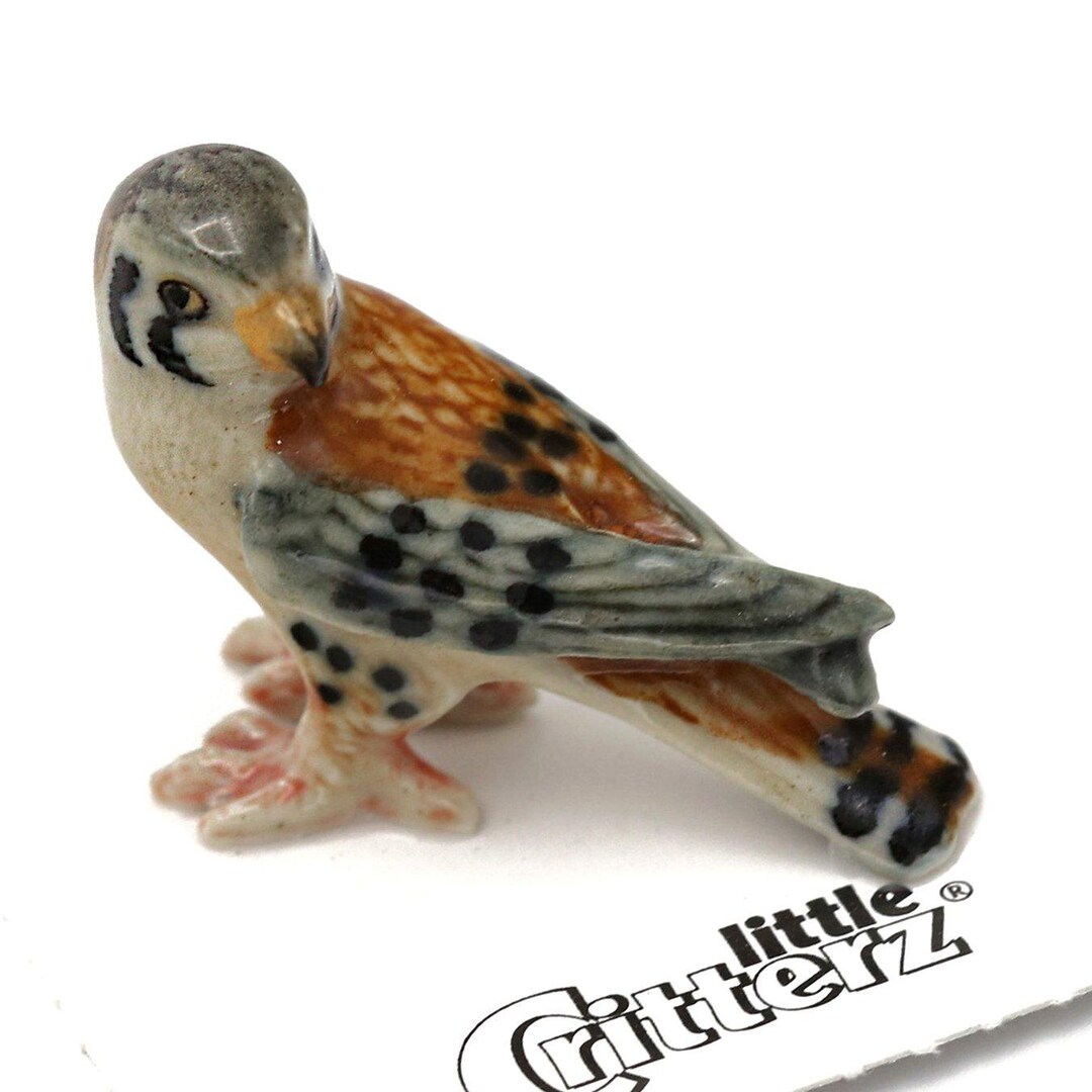 Falcon - Kestrel Falcon -"hover" Bird - Handcrafted Home Decor Bird ...