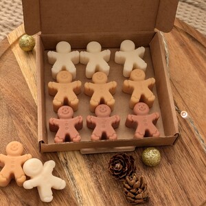 Gingerbread Wax Melts. Christmas. Wax Melt Selection Box. Christmas Wax ...