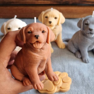 Candle. Labrador Candle. Labrador Gift Candle Gift. Dog Gift - Etsy