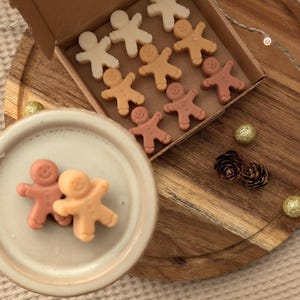 Gingerbread Wax Melts. Christmas. Wax Melt Selection Box. Christmas Wax ...