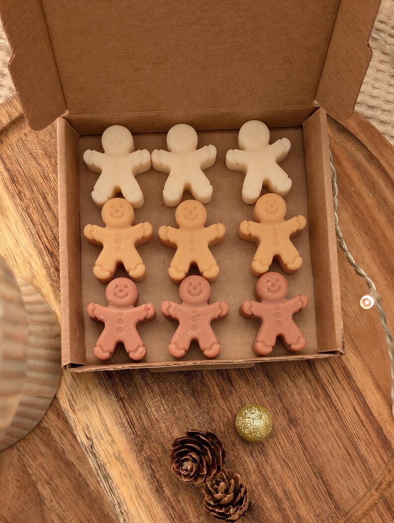 Gingerbread Wax Melts. Christmas. Wax Melt Selection Box. Christmas Wax ...
