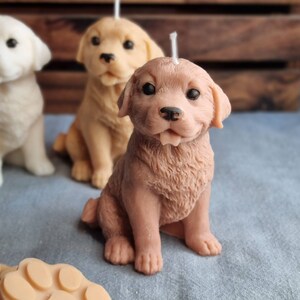 Candle. Candle UK. Dog Candle. Candles. Candle Gift. Dog Lover - Etsy