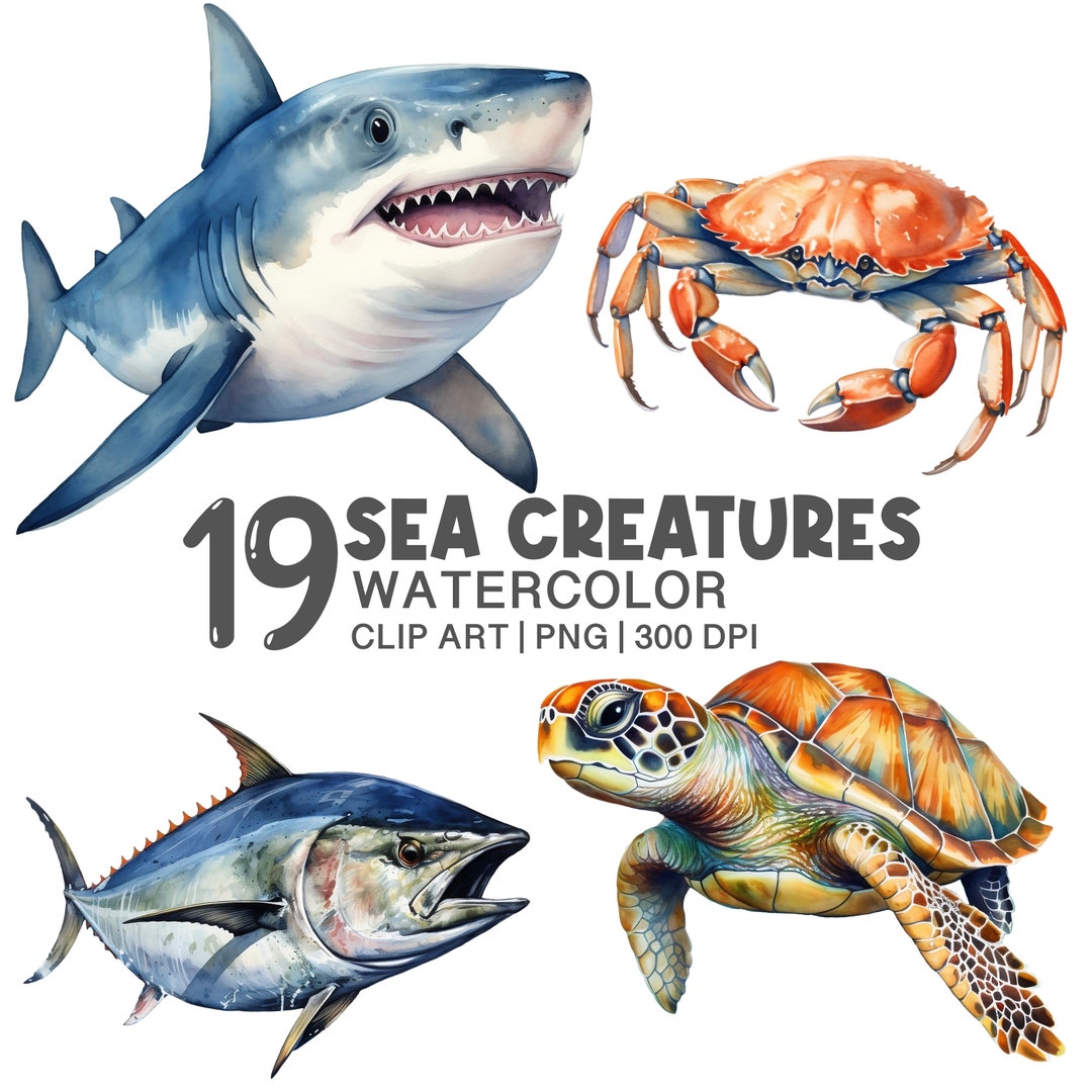 Sea Creatures Watercolor | Transparent PNG | Shark | Dolphin | Crab ...