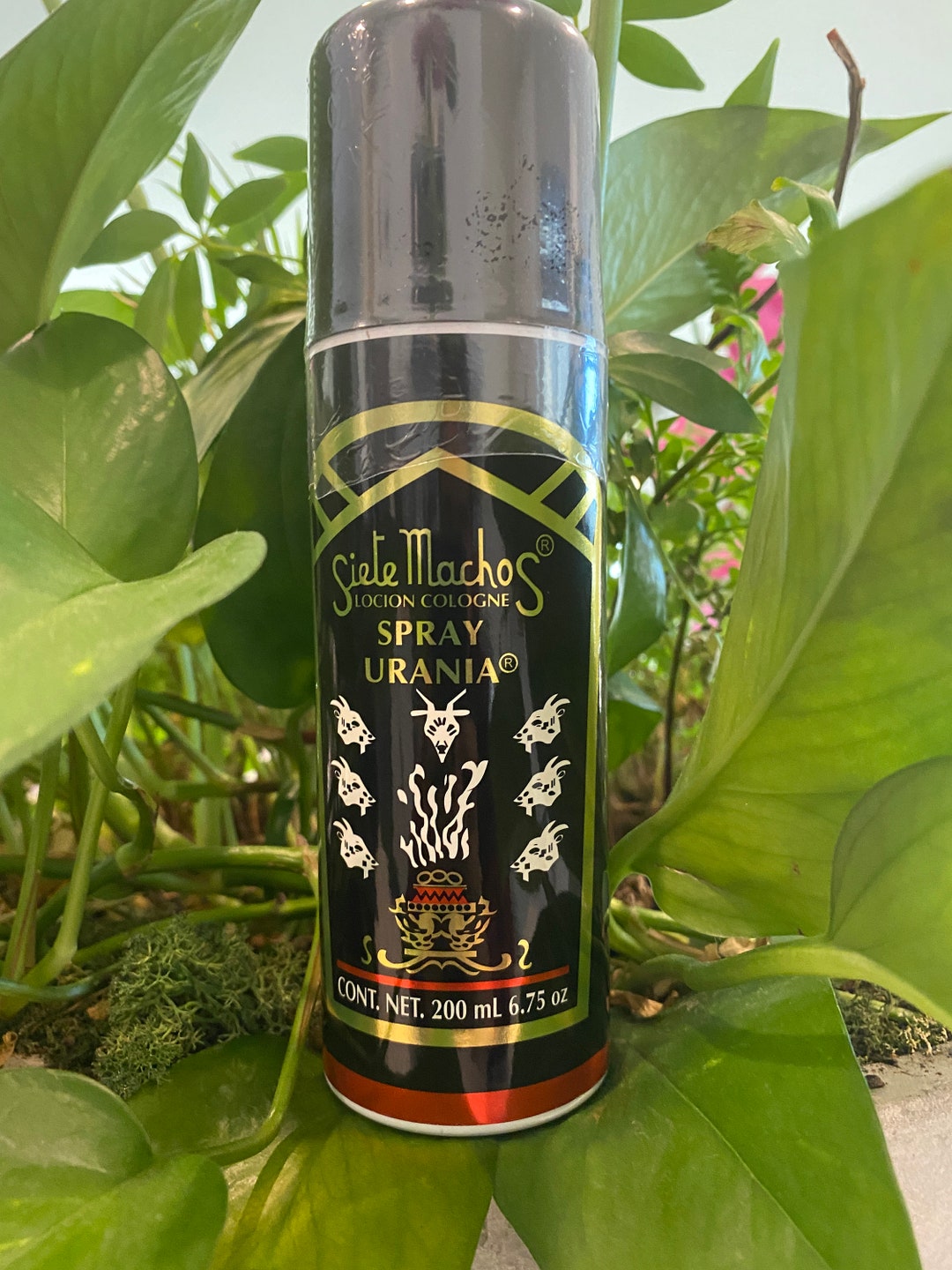 Siete Machos Spray - Etsy