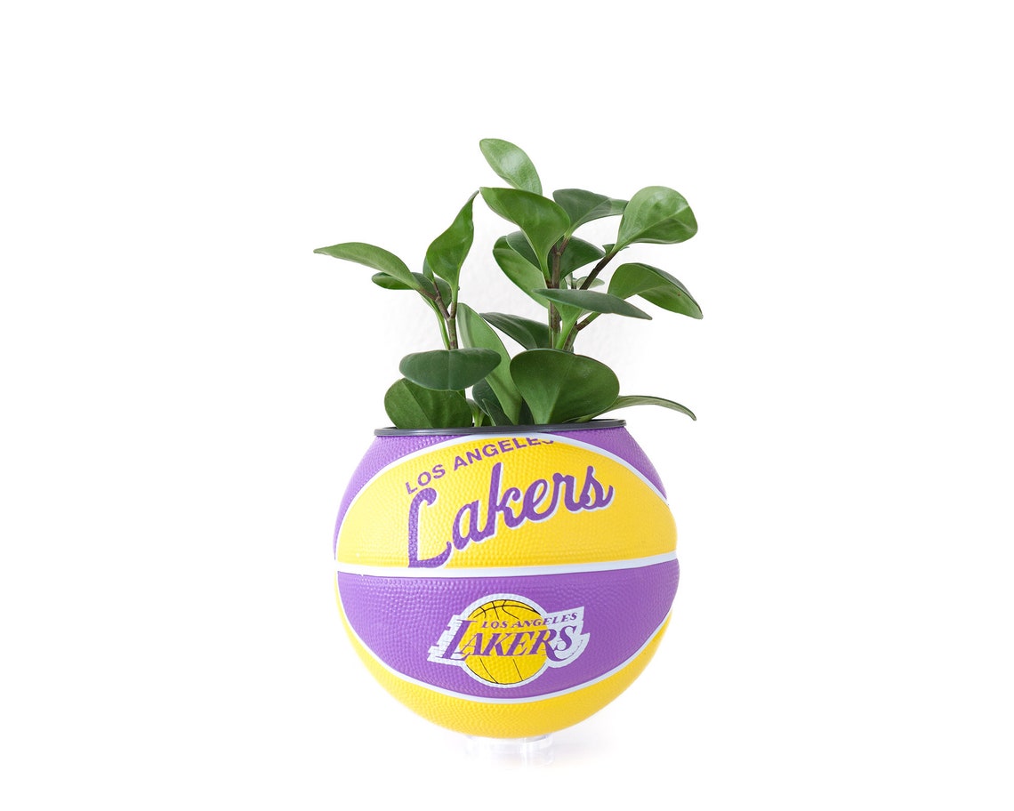 Plntrs - Wilson Lakers Hardcourt Classic Mini Basketball Planter - New ...