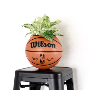 Plntrs - Wilson NBA Authentic Basketball Planter - New Ball With Stand ...