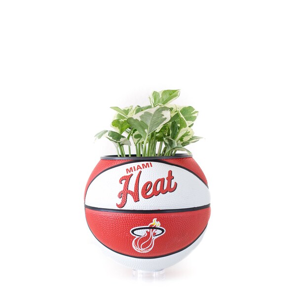 Basketball Planter - Etsy