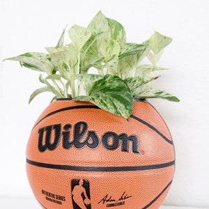 Plntrs - Wilson NBA Authentic Basketball Planter - New Ball With Stand ...