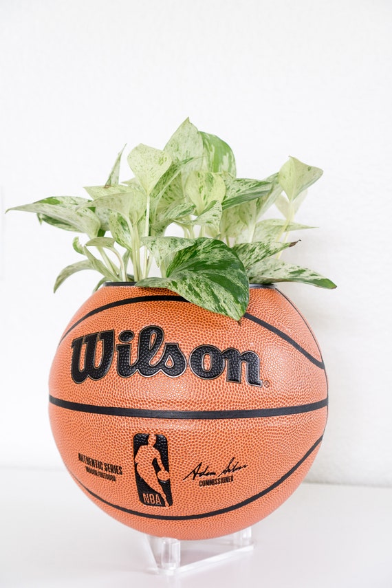 Wilson Lakers Hardcourt Classic Mini Basketball Planter plntrs new ball ...