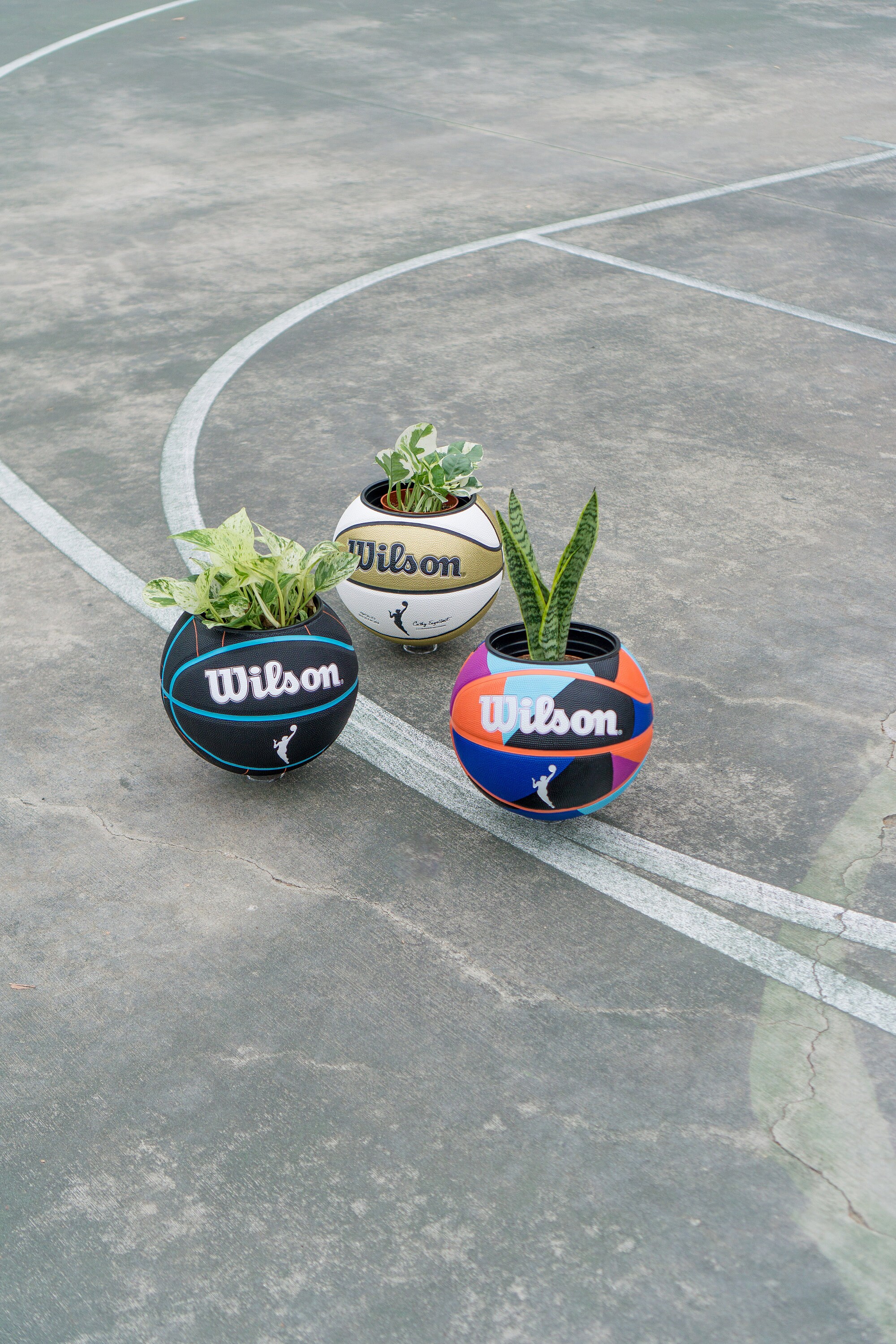 Plntrs WNBA Wilson HEIR Basketball Planter New Ball With - Etsy