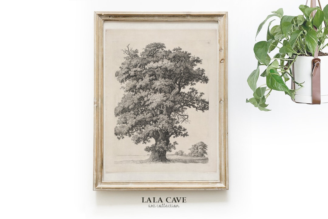 Nature-inspired Landscape Drawings Instant Download . Botanical Prints ...