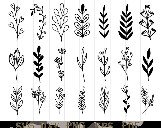 Flowers SVG, Hand Drawn Stems and Branches PNG, Doodle Flowers, Flowers ...