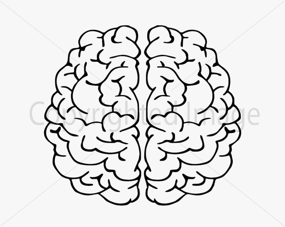 Brain SVG, Brain PNG, Brain Clipart, Brain Cut File, Brain Stencil ...