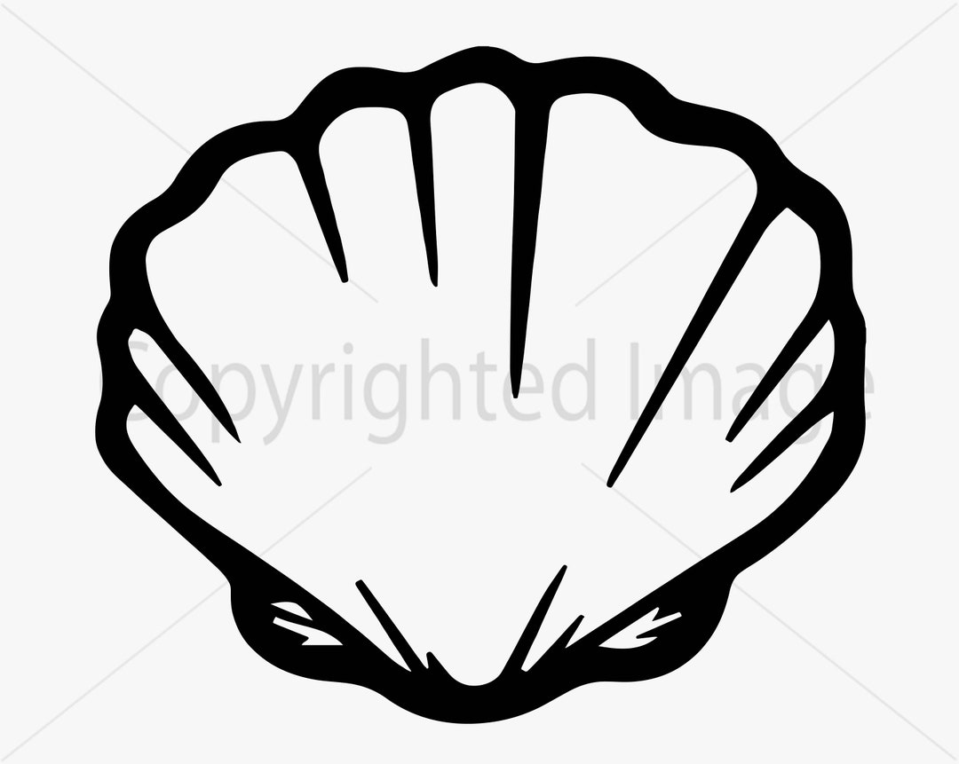 Sea Shells Svg, Seashell Svg, Clam Svg, Hawaii Water Ocean Sea Wave ...