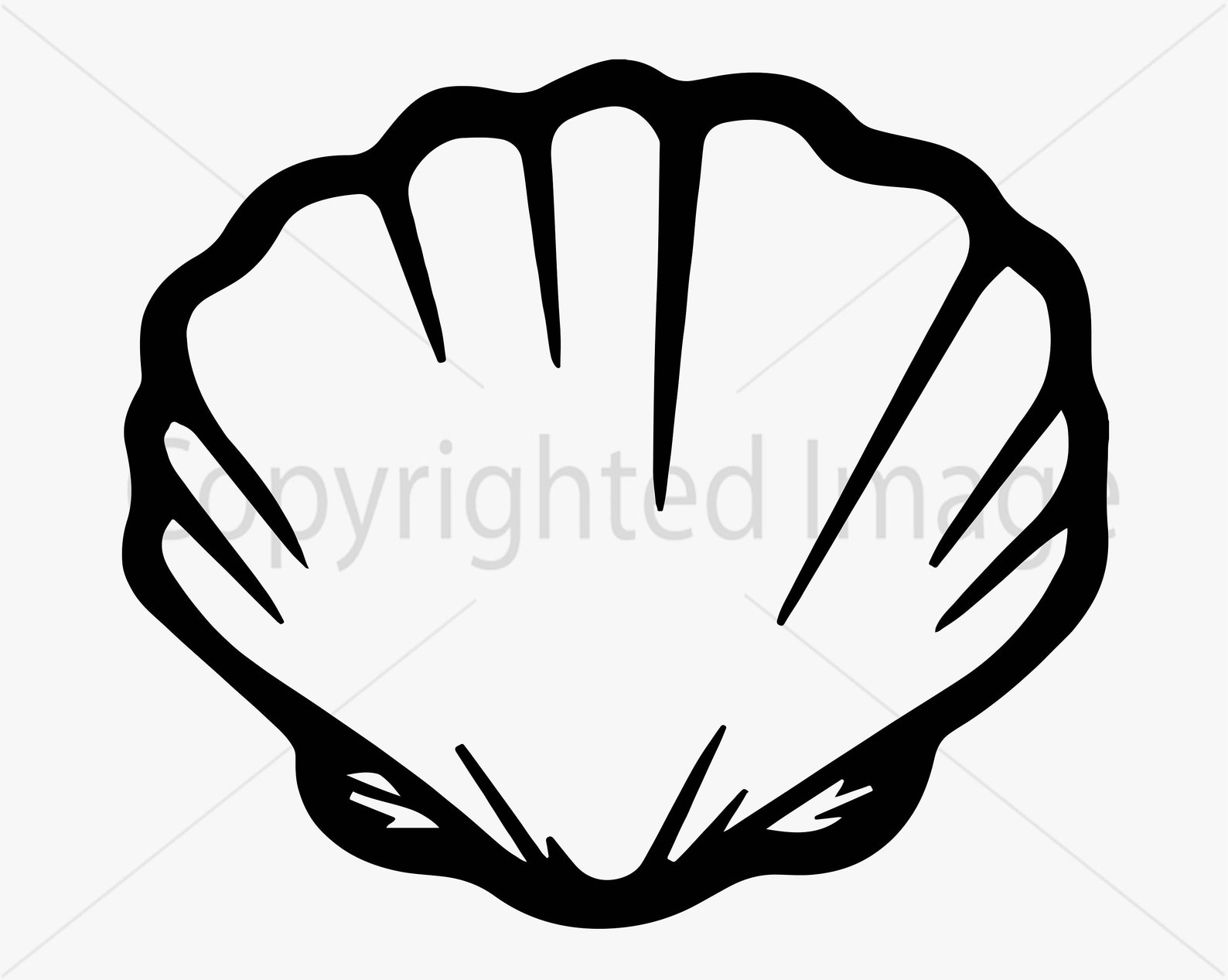 Sea Shells Svg Seashell Svg Clam Svg Hawaii Water Ocean Sea - Etsy