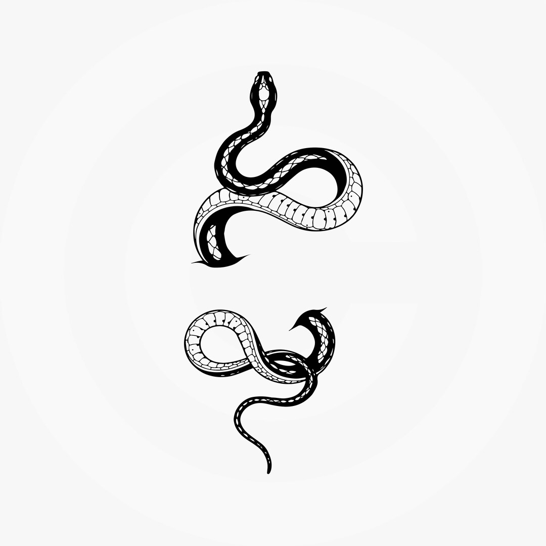 Snake SVG, Snake Vector, Snake Clipart, Snake Cricut, Snake Cut File ...