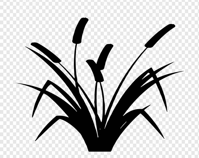 Reeds Svg, Bulrush Svg. Vector Cut File for Cricut, Silhouette, Pdf Png ...