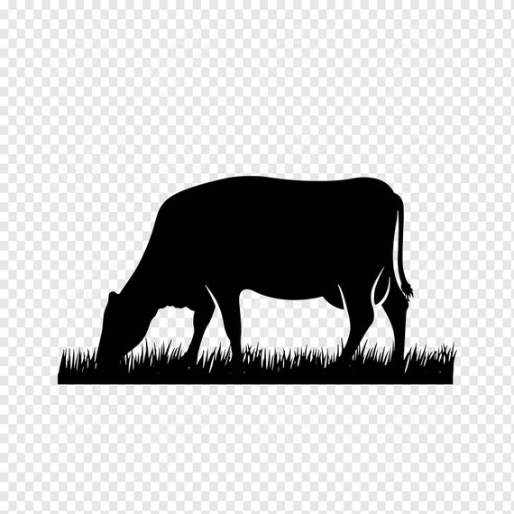 Vaca SVG Mostrar vacas SVG Cortar archivo Siluetas de vaca - Etsy México