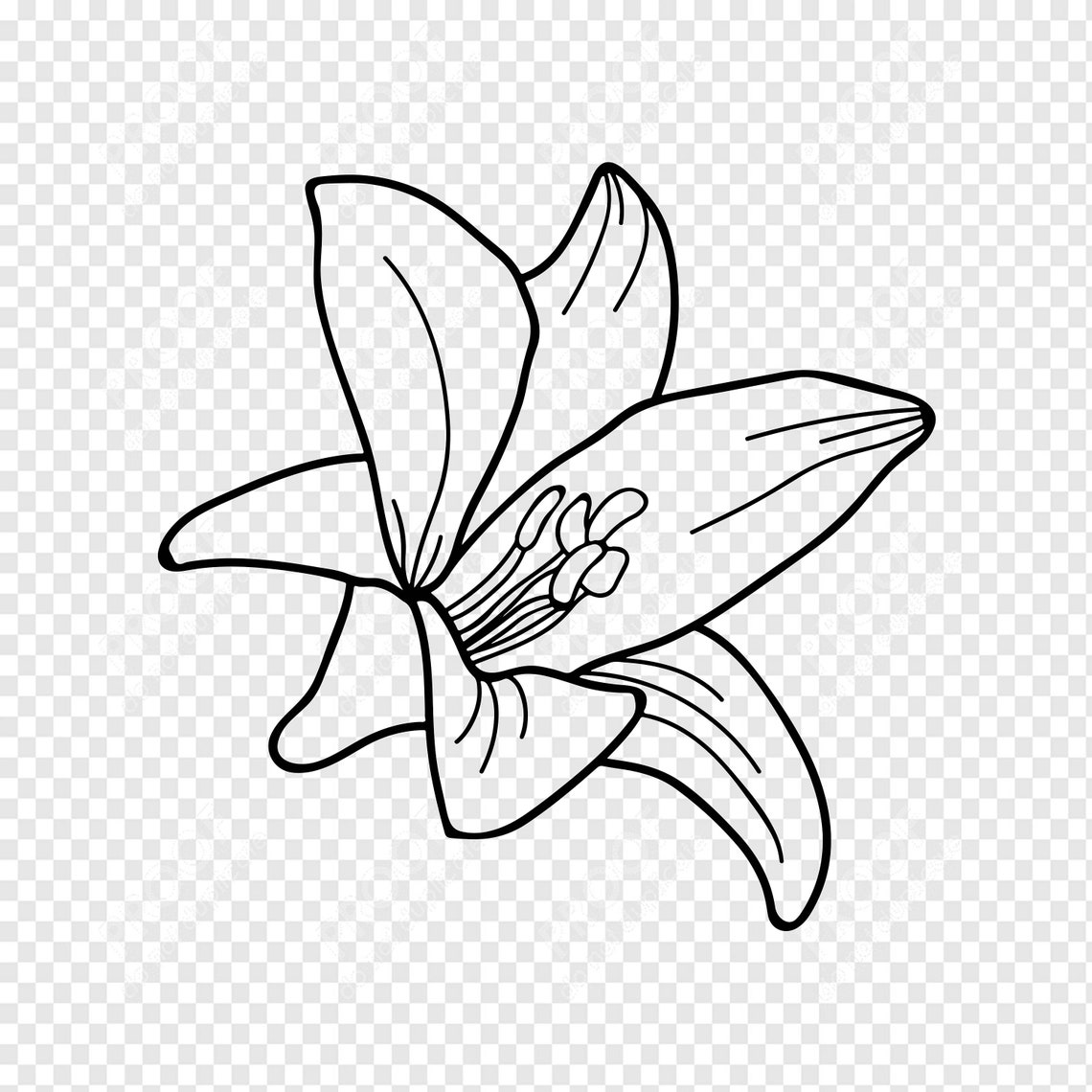 Lily Flower SVG Lilium Flower SVG Lily SVG Flower Svg Lily | Etsy Canada