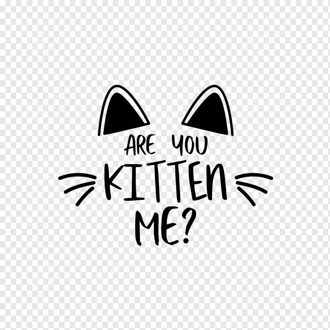 Cat Svg, Are You Kitten Me Funny SVG, Cricut Cut File, Cat SVG, Feline ...
