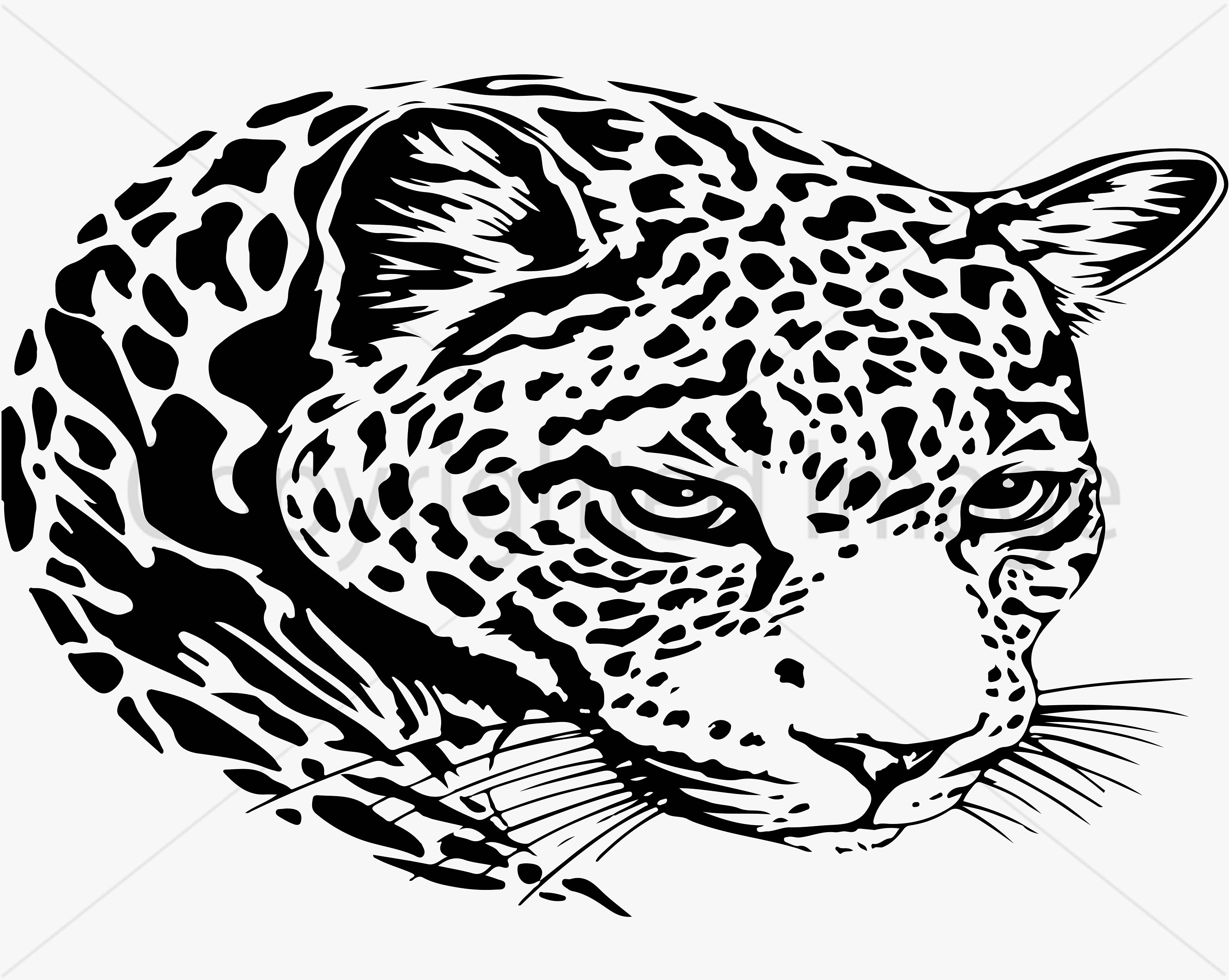 Snow Leopard Line Art SVG/PNG/JPEG Digital Art File Instant - Etsy