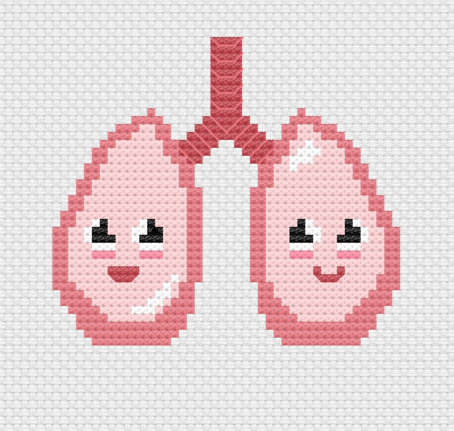 Cute Lungs Cross Stitch Kit - Etsy