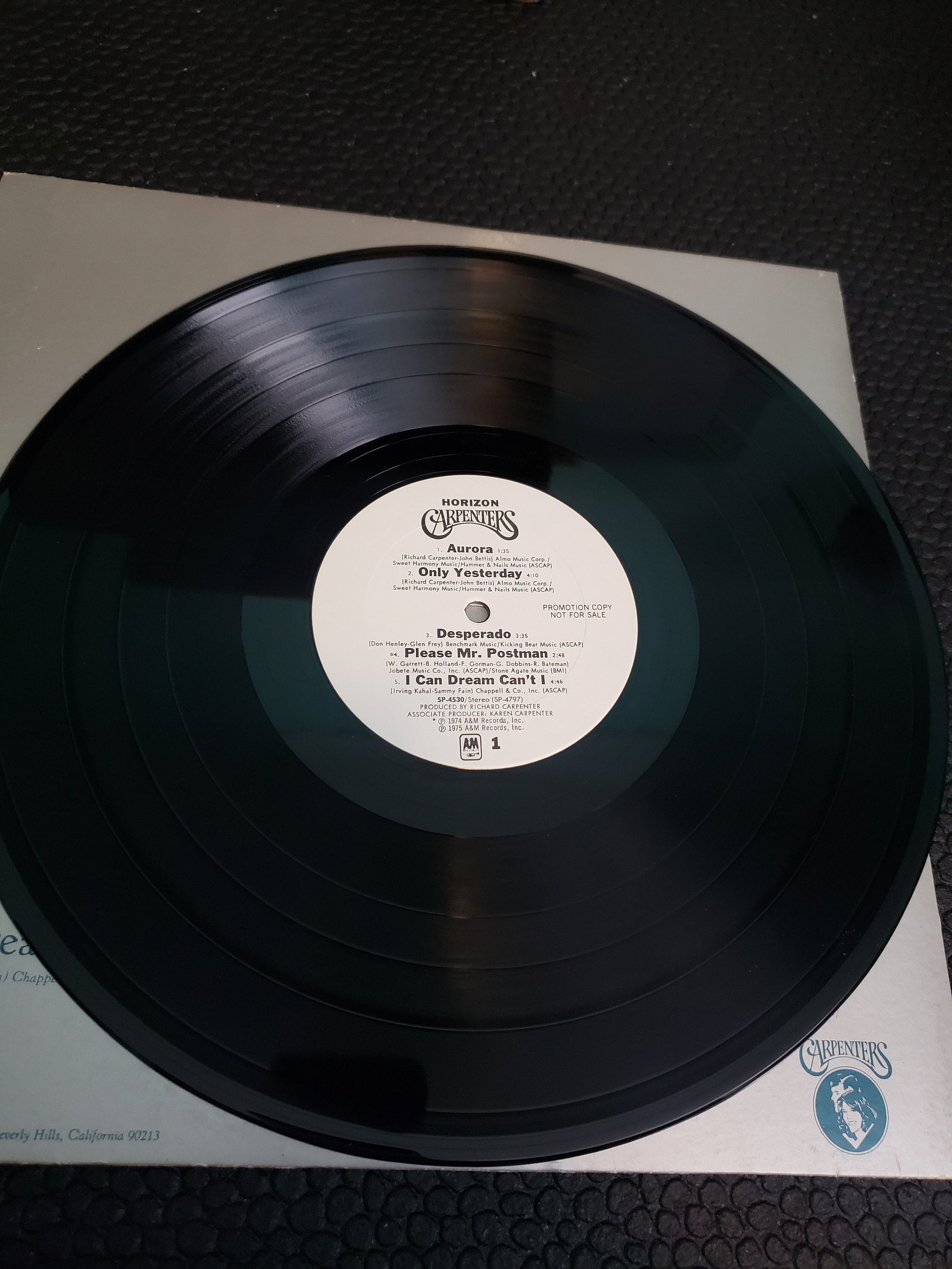 Carpenters: Horizon Vinyl Record 33' - Etsy UK
