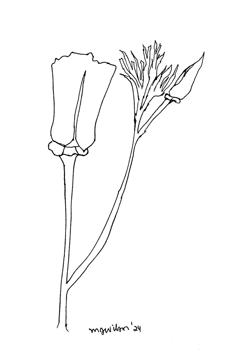 Minimalist & Modern Botanical One-line Drawing Prints / Spring ...