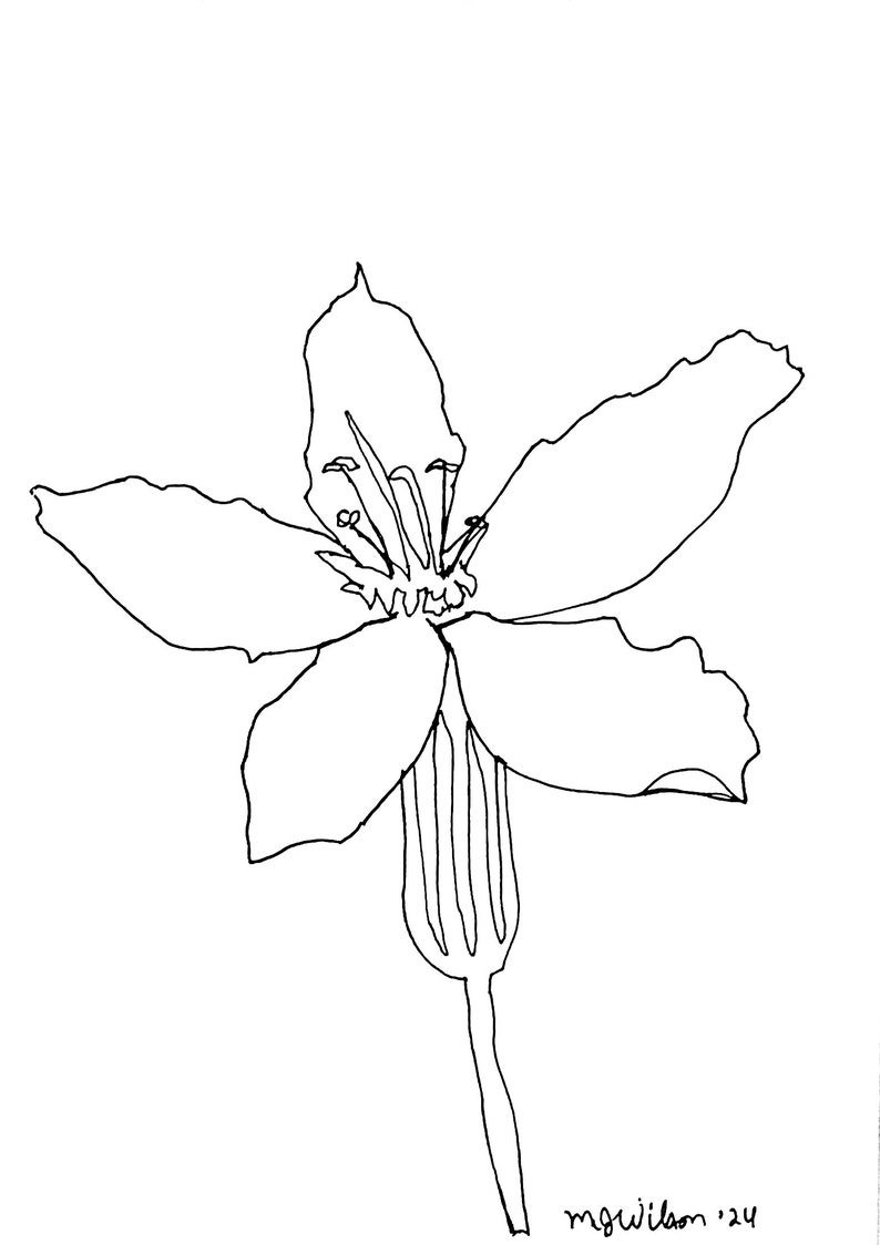 Minimalist & Modern Botanical One-line Drawing Prints / Spring ...